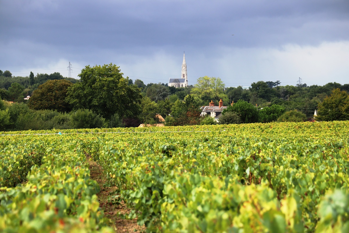 Balade gourmande - Site officiel de la ville de Vertou (44)
